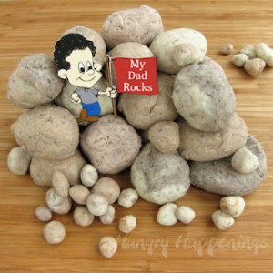 “Rock” Fudge, from Dad’s Rock to Serenity Stones – Edible Crafts