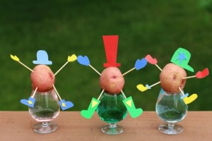 Potato People – Edible Crafts