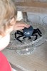 Candy Filled Bouncy Spiders – Edible Crafts