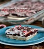 Chocolate Peppermint Four Layer Dessert – Edible Crafts
