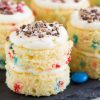 Funfetti Mini Layer Cakes – Edible Crafts
