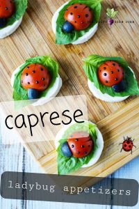 Caprese Ladybug Appetizers – Fun Kids Party Food – Edible Crafts
